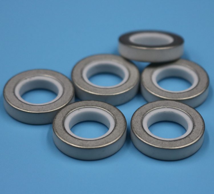 Metallized ceramic ring - Advanced Ceramic Supplier And Manufacturer