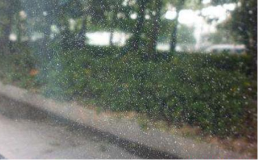 Have you ever seen mold on glass? What is the cause of mold on glass ...